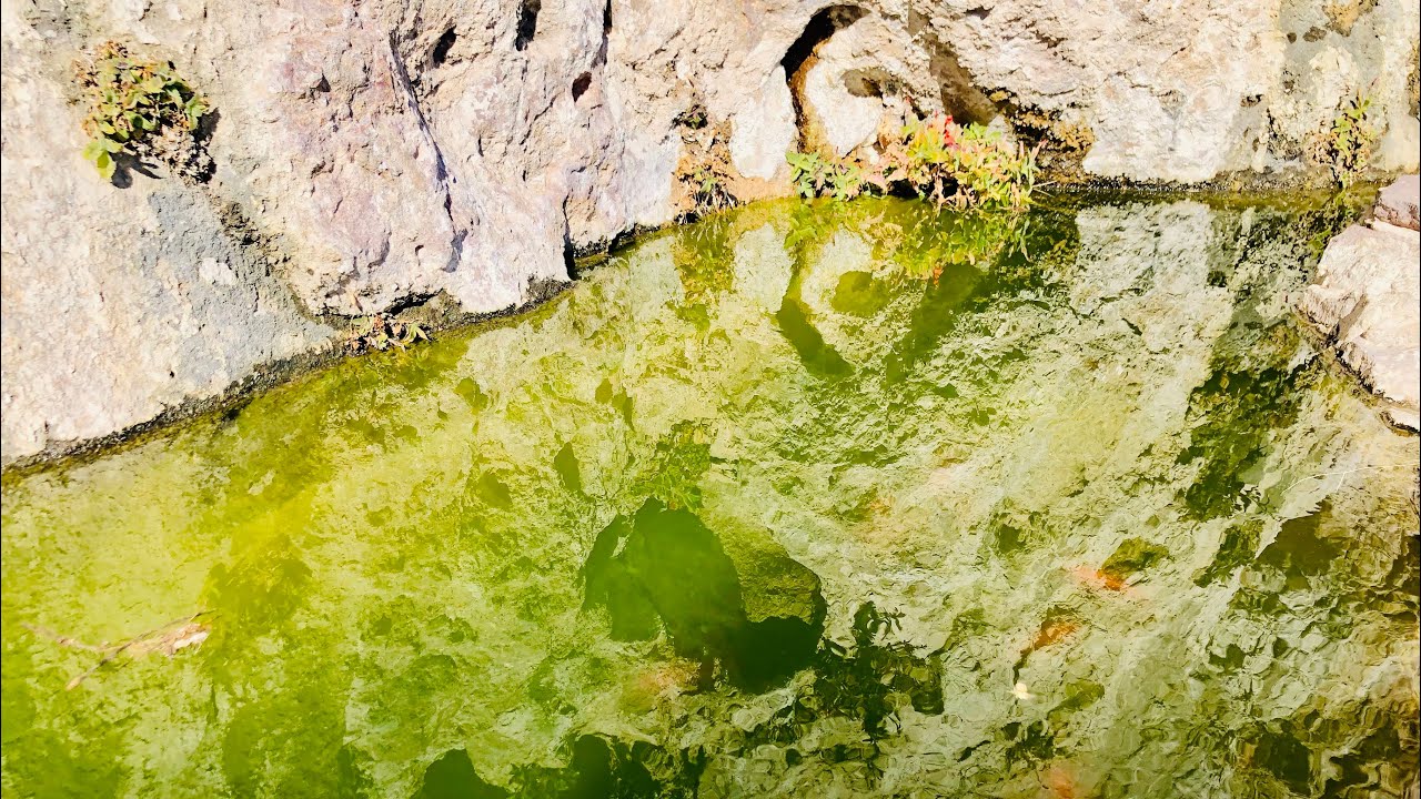 Shaffer Fish Bowl Springs Oatman, AZ 11-26-21 - YouTube