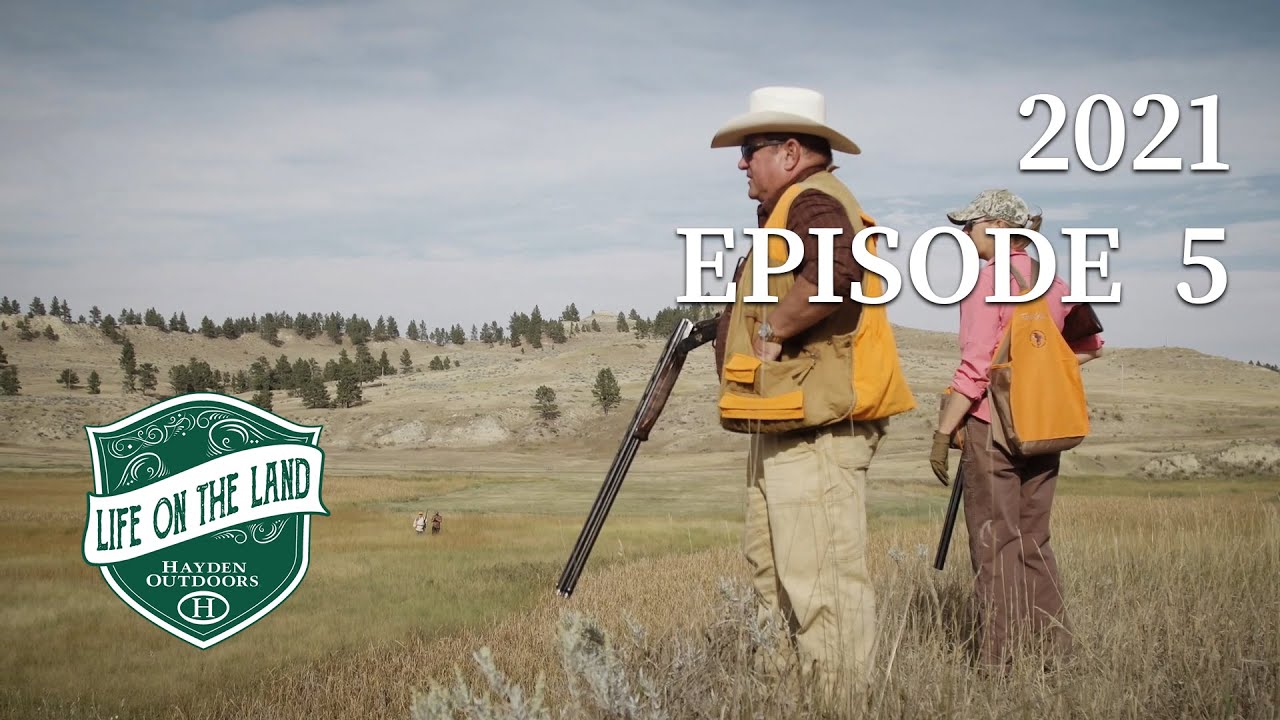 LIFE ON THE LAND EPISODE 5 - YouTube