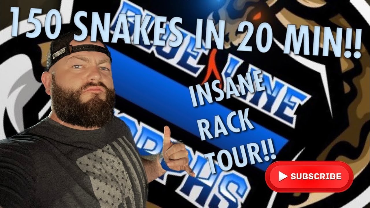 150 SNAKES IN UNDER 20 MIN!! || INSANE RACK TOUR! - YouTube