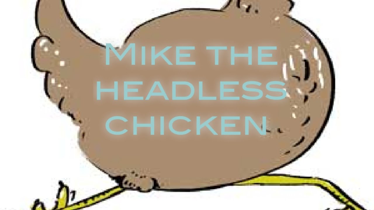 Mike The Headless chicken ||FactSock|| ☆☆《《¤♧🐔🐔🐓🐓🐣 - YouTube