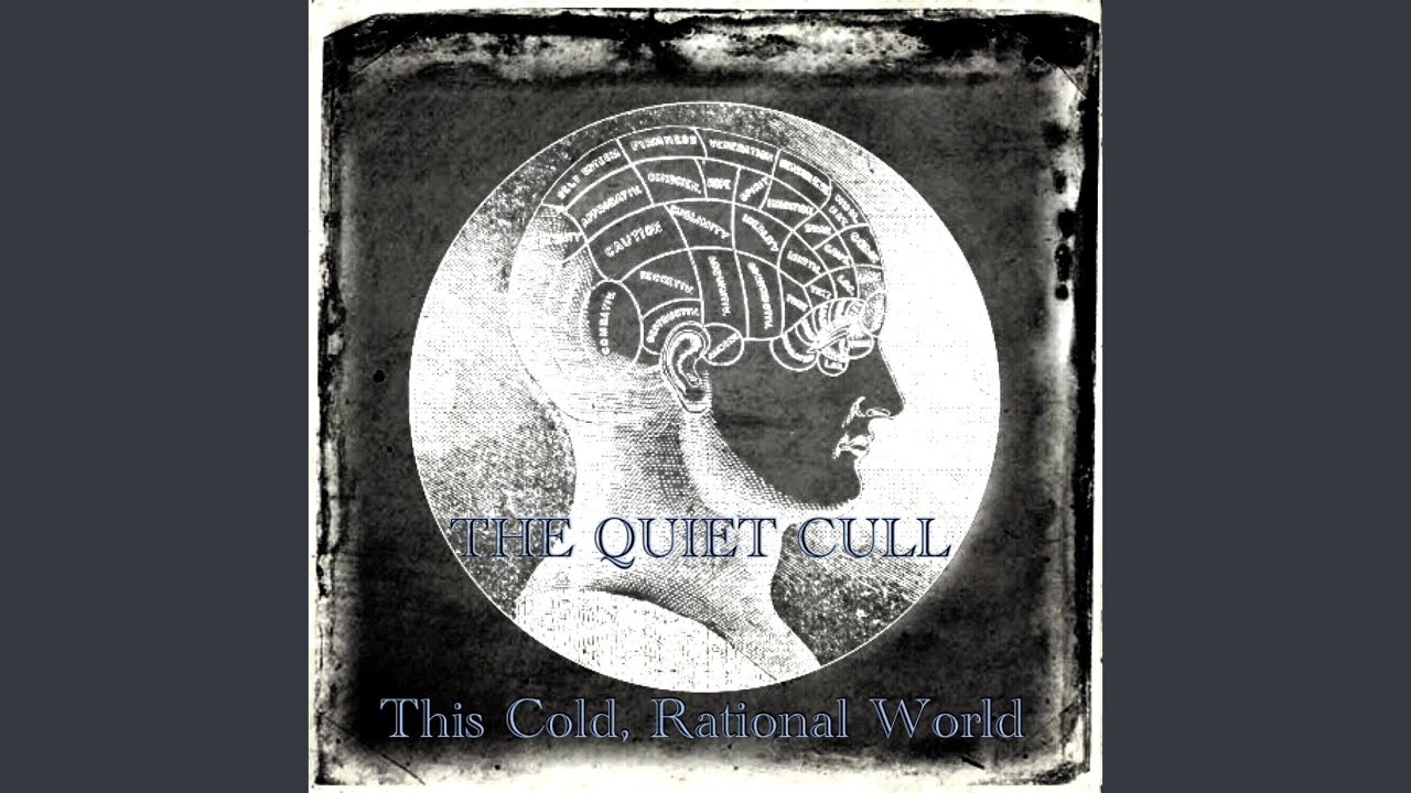 This Cold, Rational World - YouTube