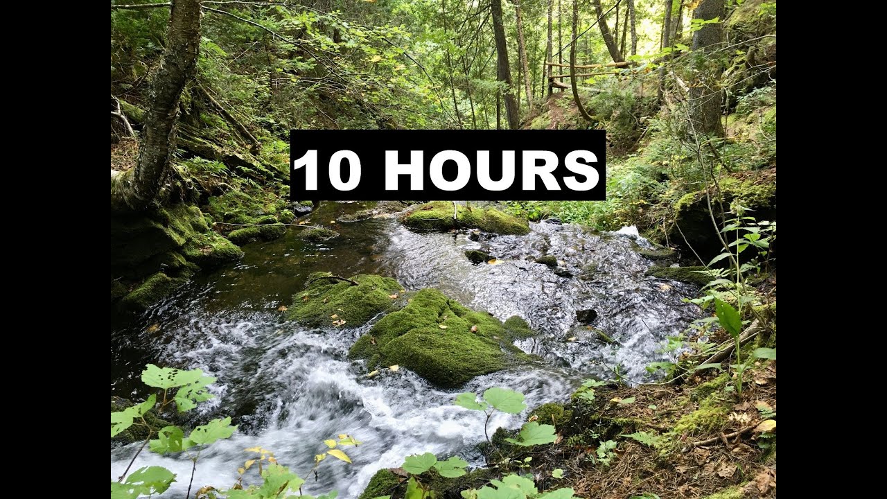 Sleep - Relaxation - Mossy Forest Stream 10 Hours - YouTube