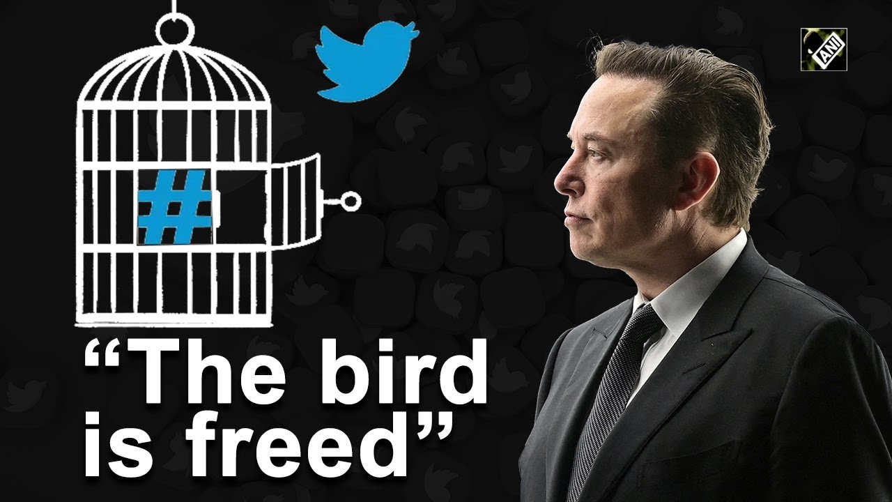 “The bird is freed”, Elon Musk takes over Twitter, purges Top ...