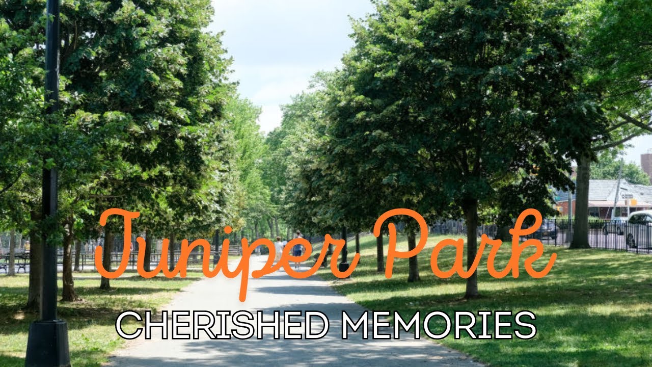 Juniper Park - a nostalgic rock anthem that captures enduring memories ...