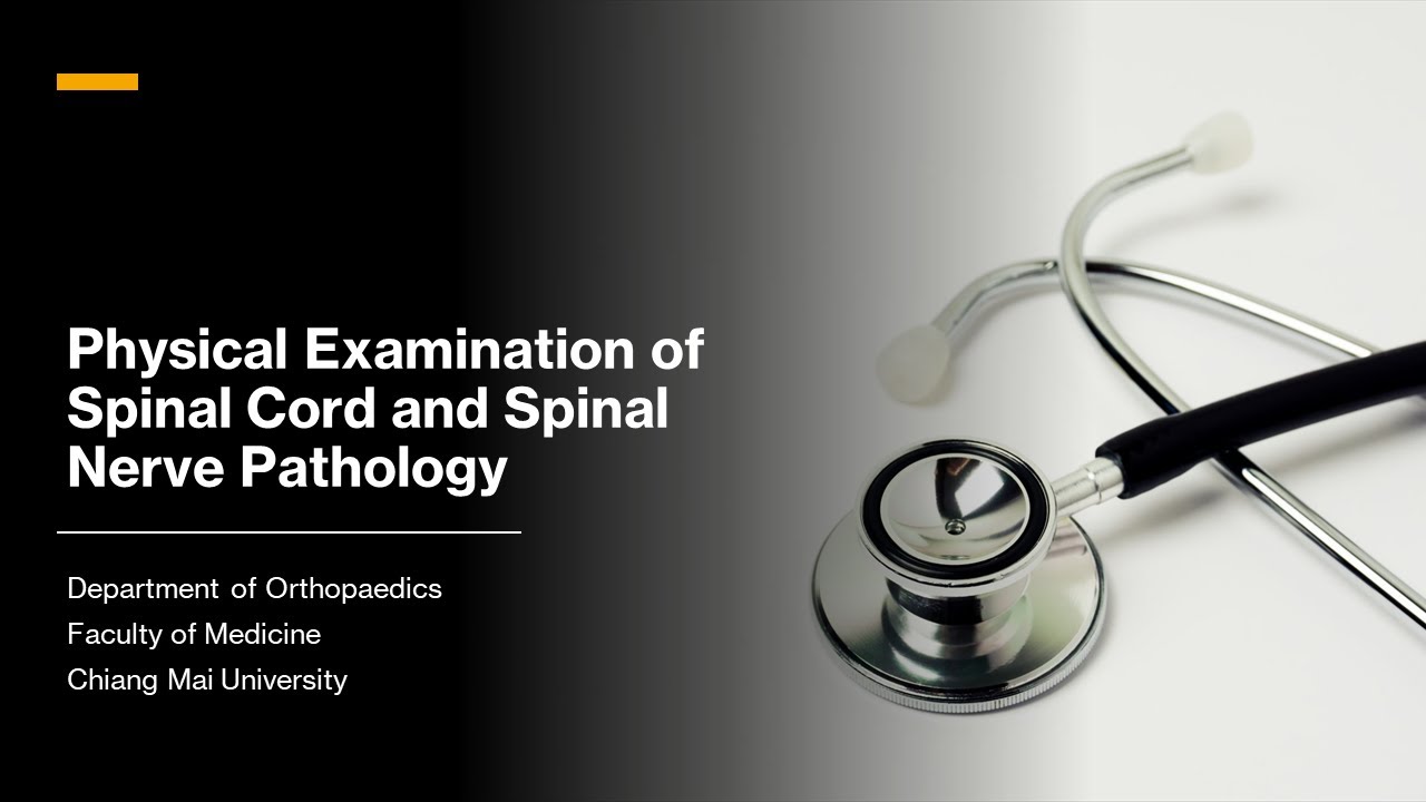 Physical Examination of Spinal Cord and Spinal Nerve Pathology - YouTube