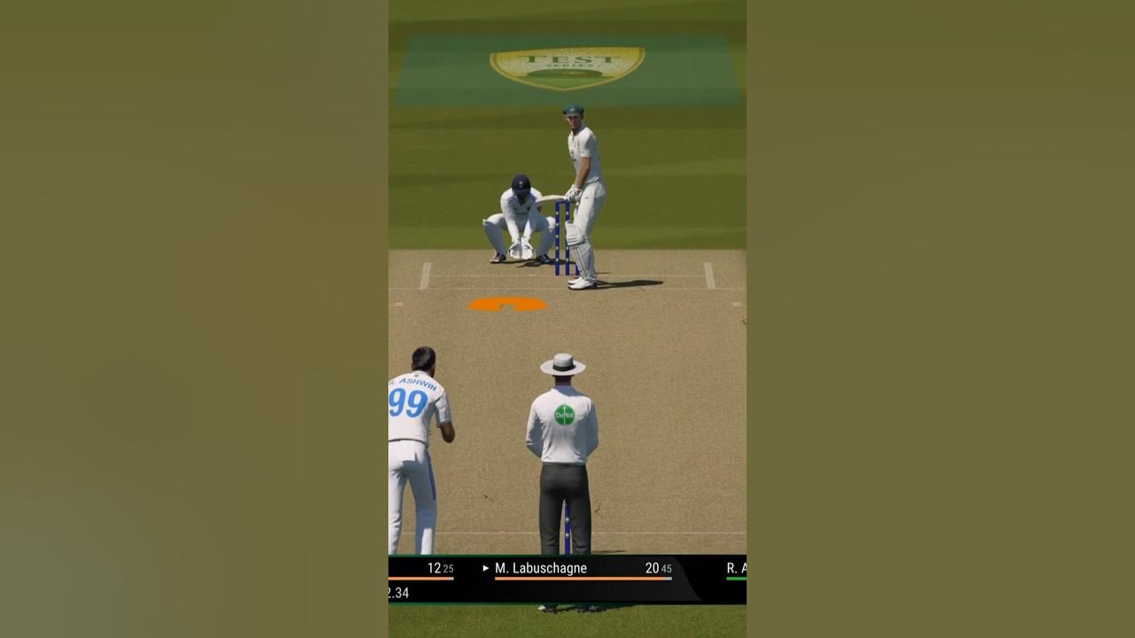 LBW! Out or not out? #shorts - YouTube