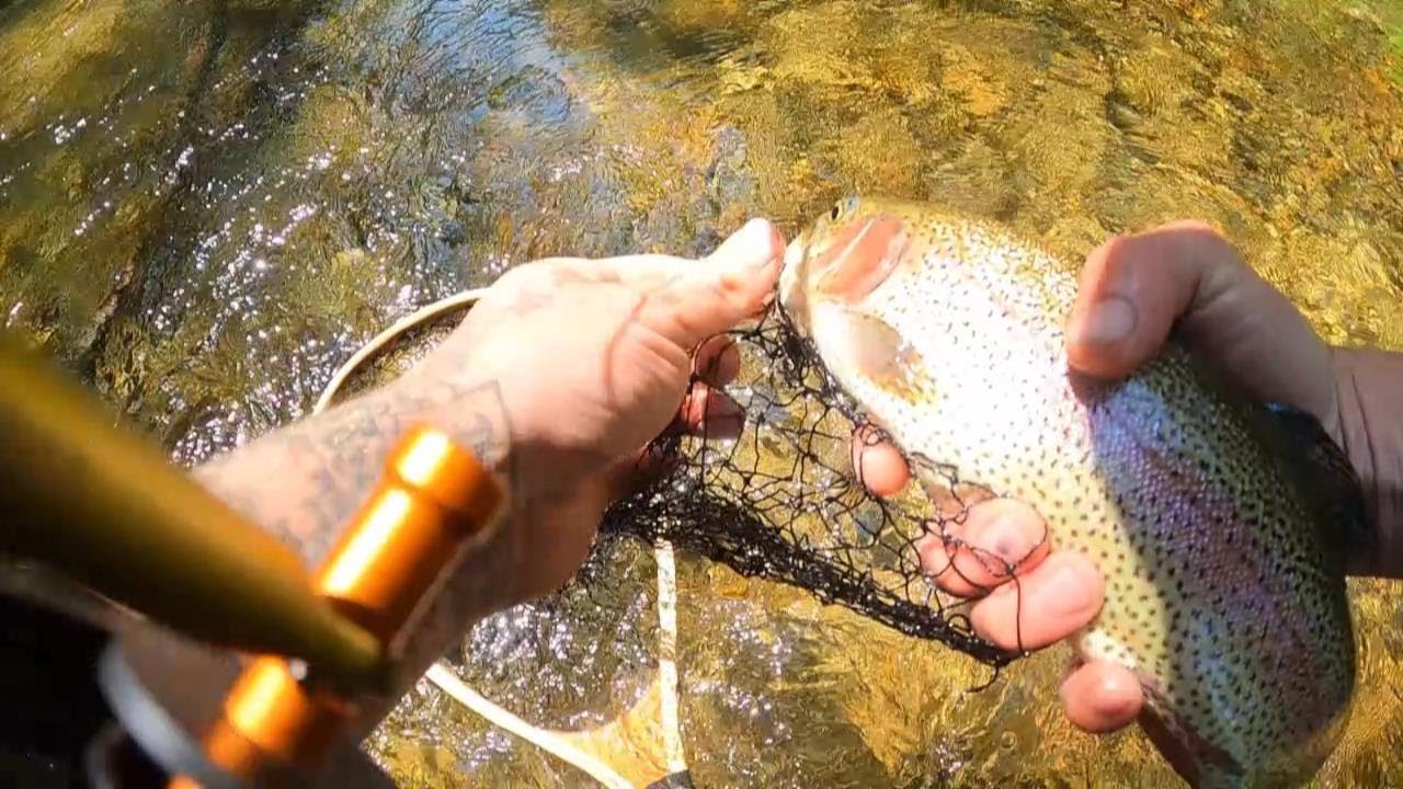 Fly fishing the Swift River in Massachusetts - YouTube