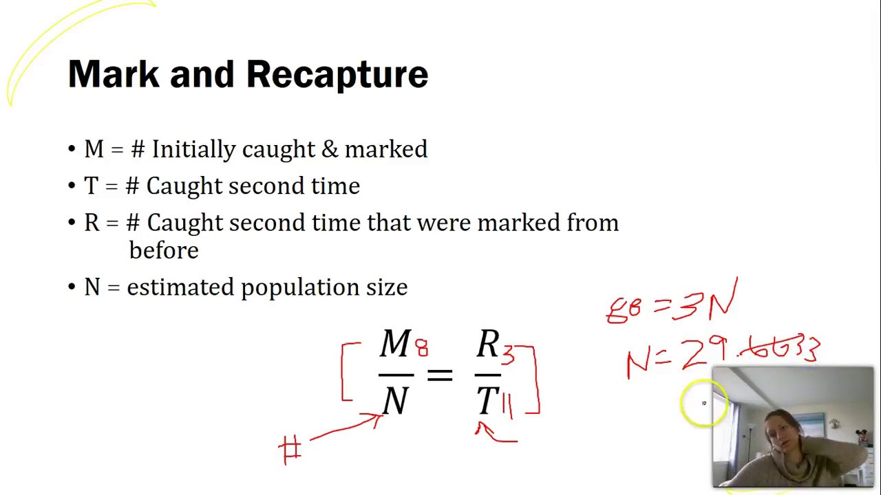 Estimating Population Sizes YouTube estimating-population-sizes-youtube