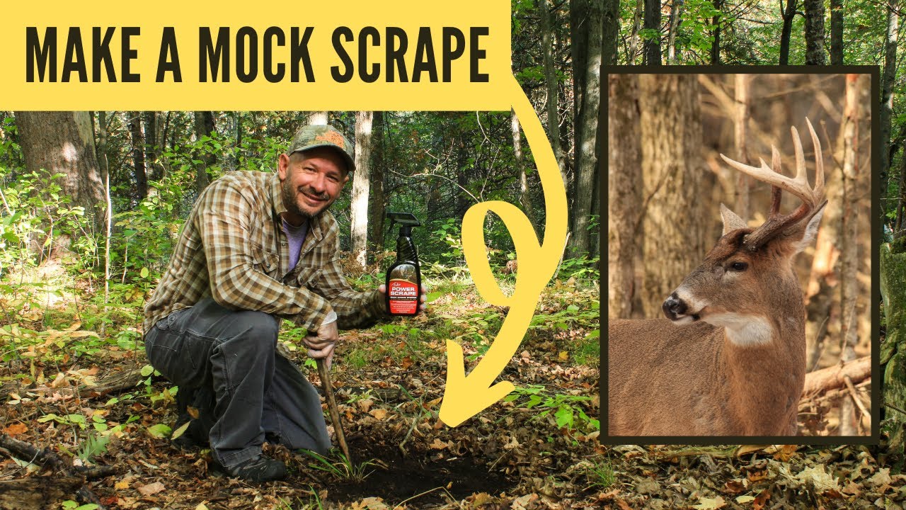 Make a Mock Scrape and Licking Branch (Deer DIY) - YouTube