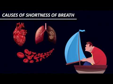 2D Animation - Motion Graphics - After Effects - Explainer Video Sample ...