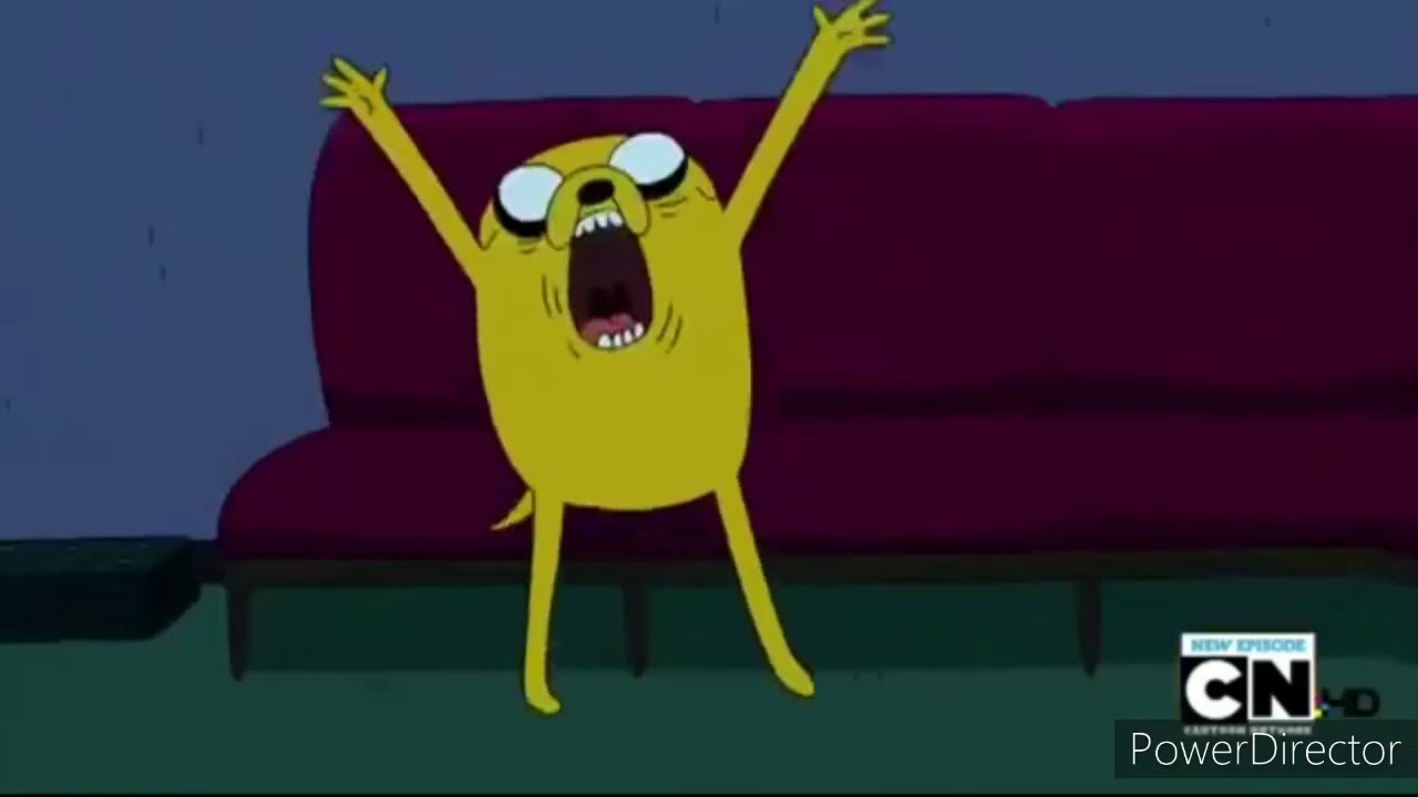 Jake gets bitten by a WTF Boom Spider - YouTube