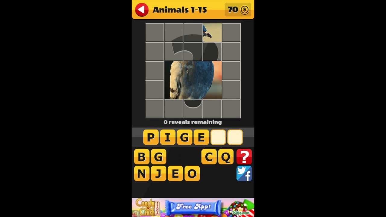 What's The Picture? Level 1 Animals All Answers Walkthrough - YouTube