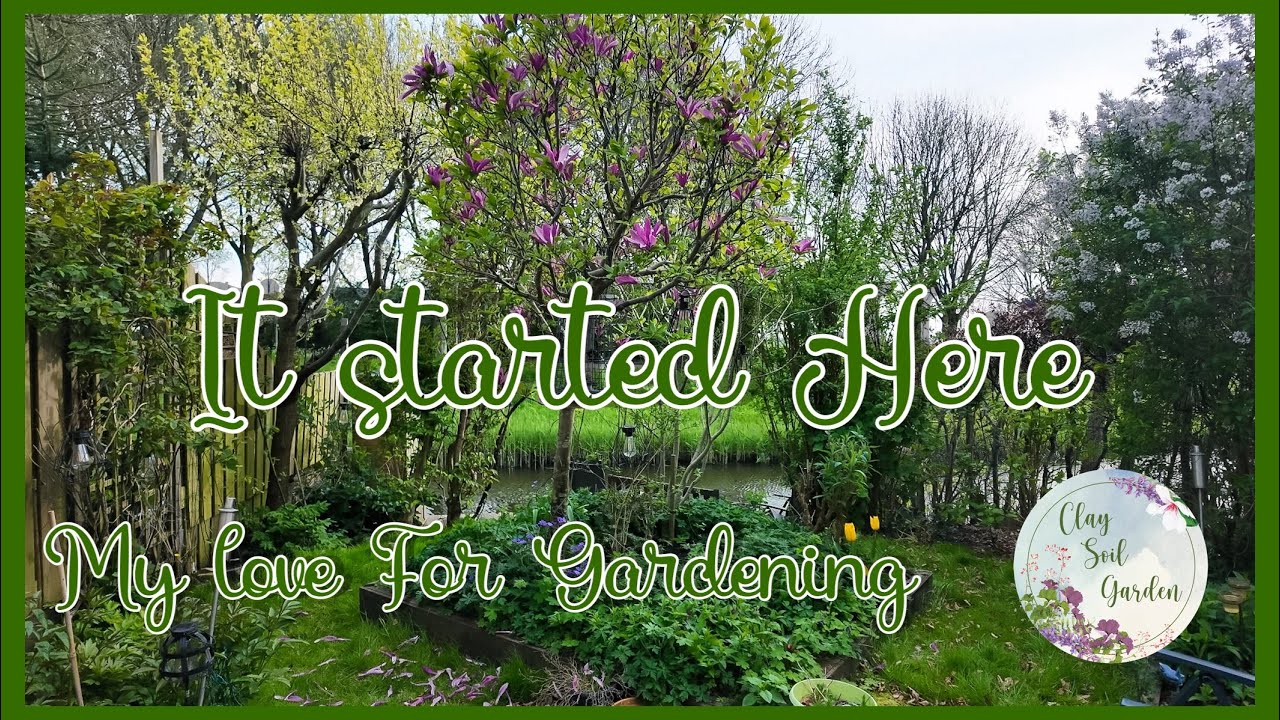 Where it Started | My love for Gardening | Childhood Garden | Tiny But ...