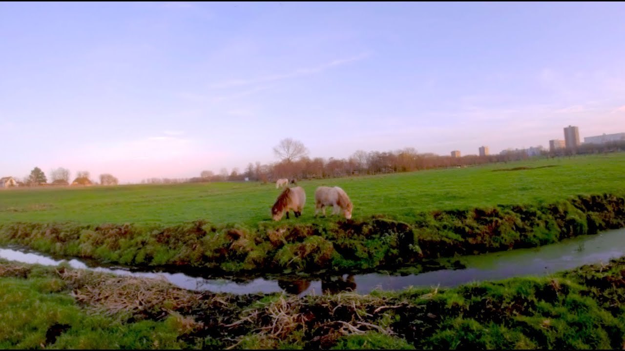 Slootje springen - Rotterdam - YouTube