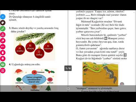 14.12.2025 - 4-cü sinif -Mərkəzləşmiş liseylərə hazırlıq-MSİ-2- Azərbaycan dili suallarının izahı