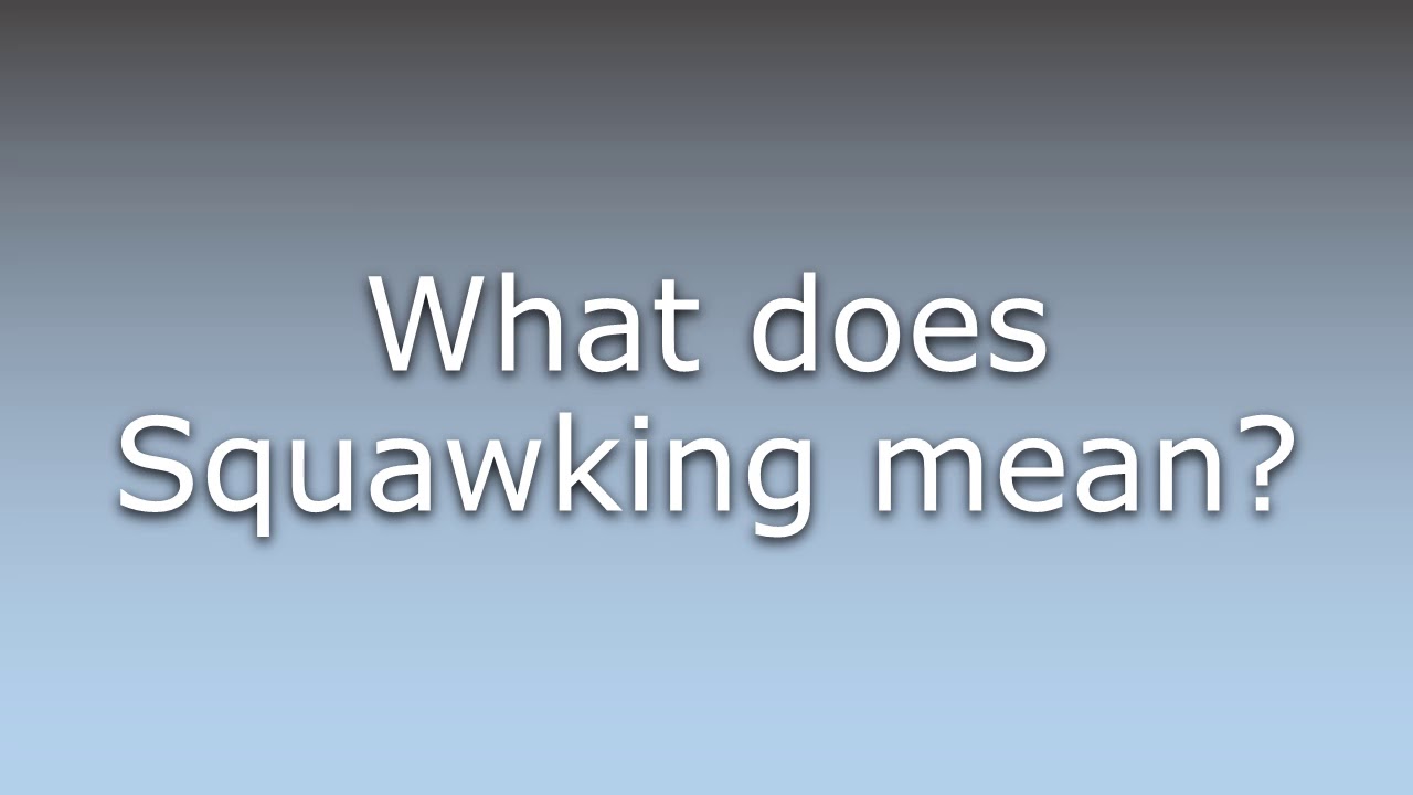 What does Squawking mean? - YouTube