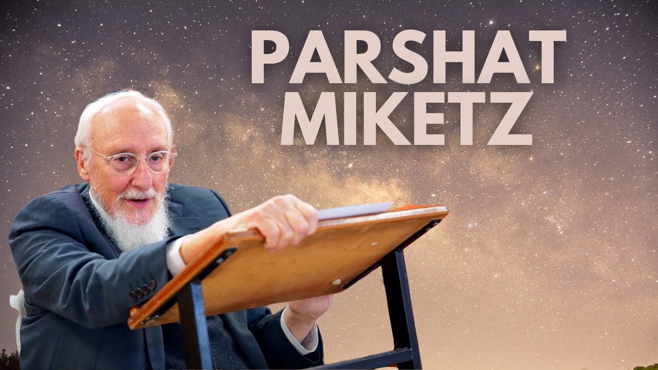 Parshat Miketz by Rabbi Baruch Taub - YouTube