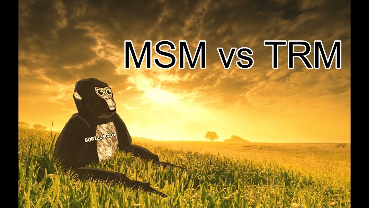 MSM vs TRM (UNFAIR match) - YouTube