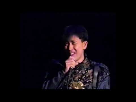 P-MODEL - ERRORS OF P-MANIA! '94 [FULL VHS, HQ 60fps]