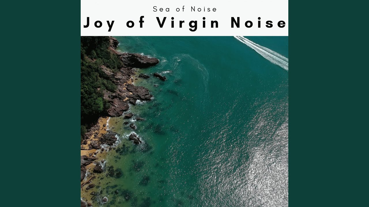 Ambience of Wild Noise for Total Nap - YouTube