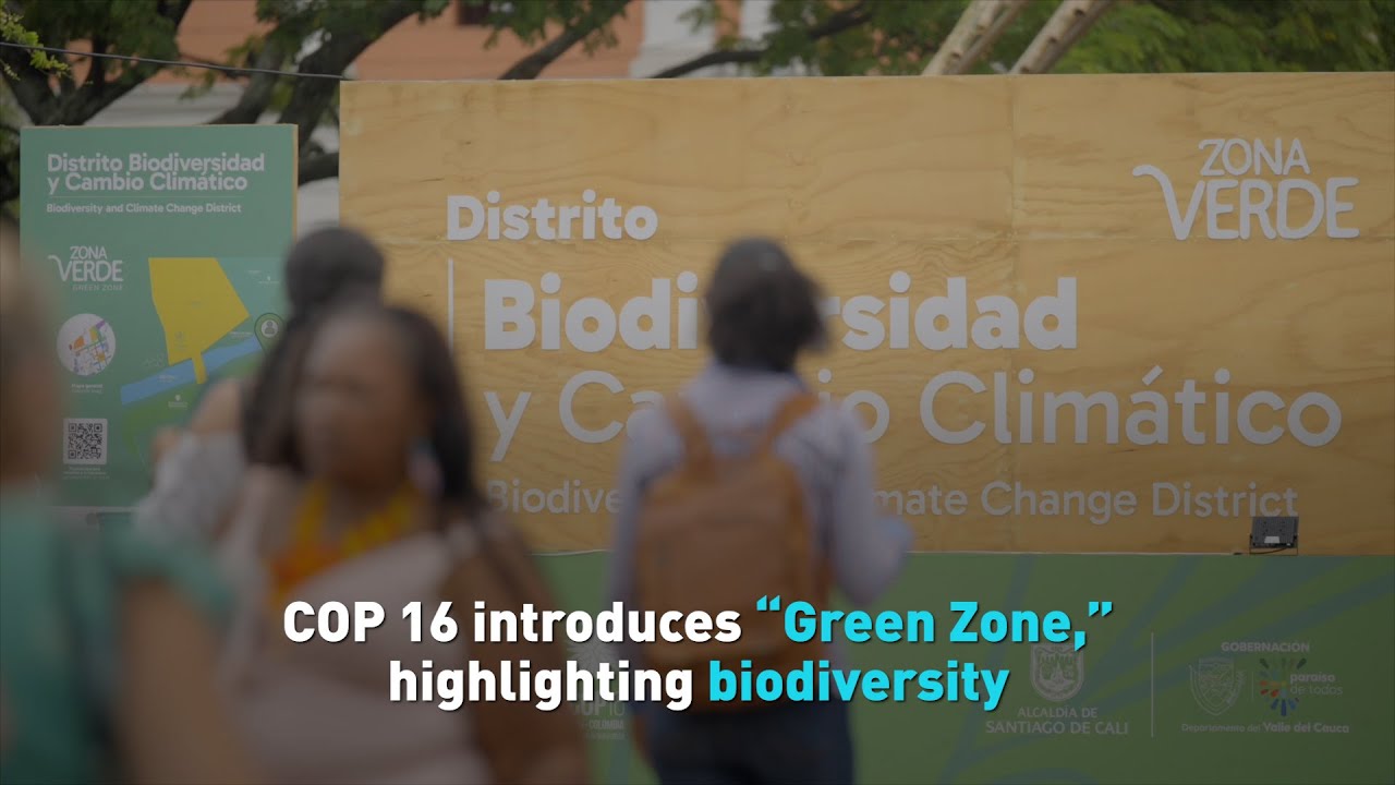 COP 16 introduces “Green Zone,” highlighting biodiversity Correct - YouTube
