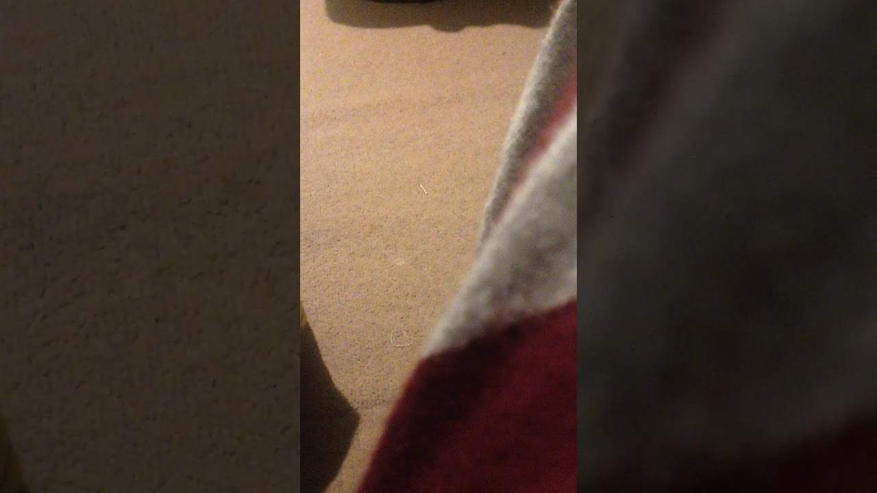 THE BIGGEST BOGIE IN THE WORLD!!! (Yuck) - YouTube