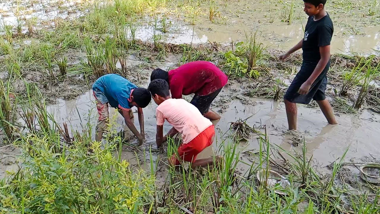 Best Village Fishing Videos | New Fishing 2024 | Fish Catching Scenery ...