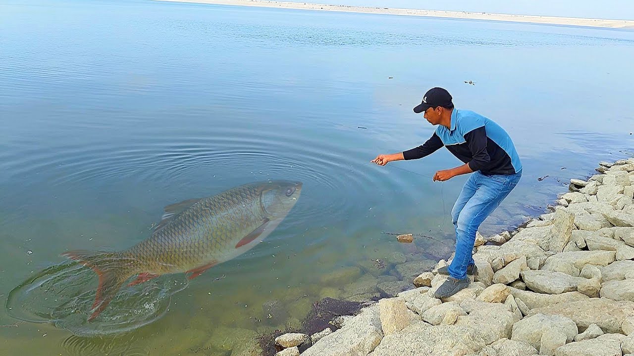 Big Size Rohu Fish Catching Video | Bottle Hook Fishing | Fish Catching ...