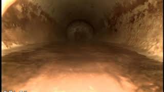 chipotle winter garden video scope
