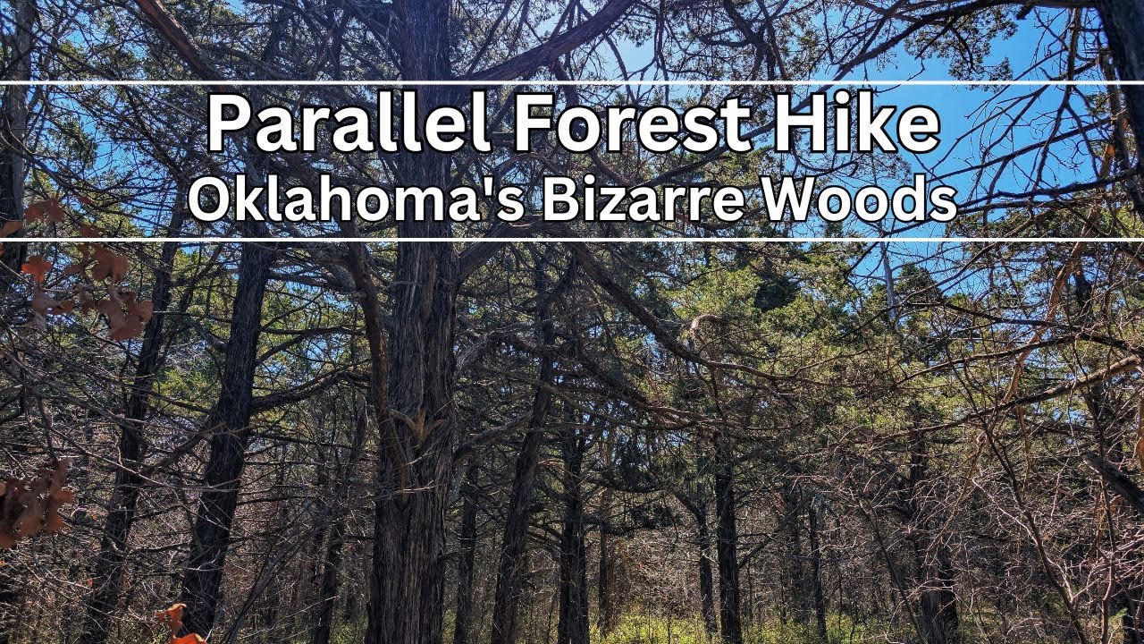 Hiking the Parallel Forest: Oklahoma's Bizarre Cedar Grid Trail - YouTube