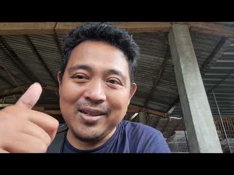 Apa Perbedaan Nyulam dan Mabung...???