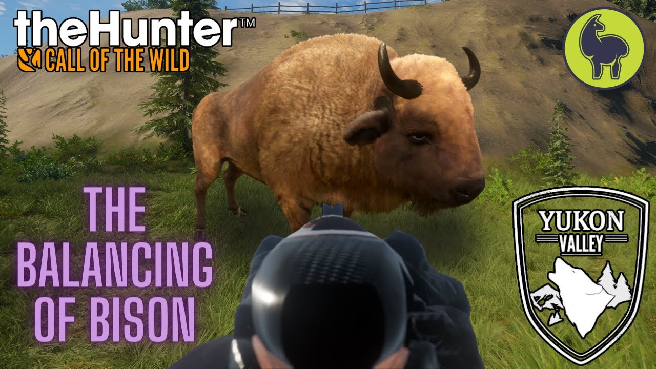 The Balancing of Bison, Yukon Valley | theHunter: Call of the Wild (PS5 ...
