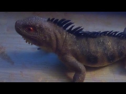 winning as snake and human in Roblox Snakey - YouTube
