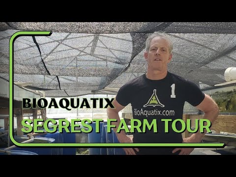 Visiting Segrest Farm, Gibsonton, Florida - YouTube