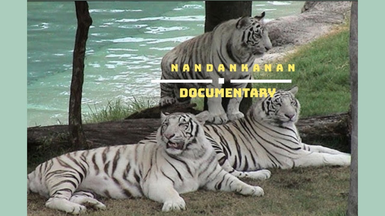 Nandankanan Zoological Park I Zoo and Botanical Garden Bhubaneswar ...