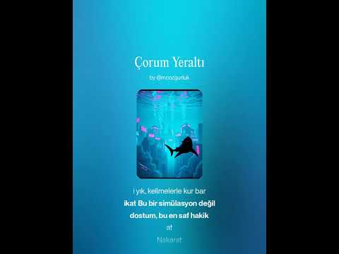 Mc Özgürlük - Çorum yer6
