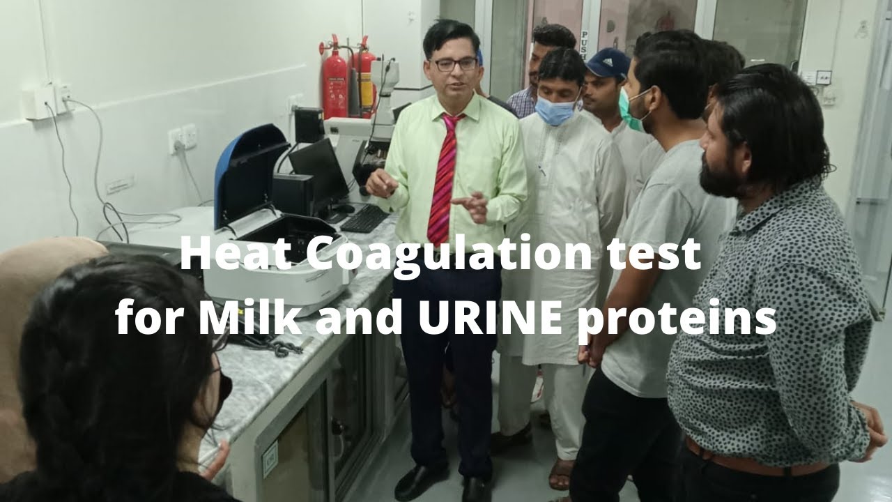 Heat Coagulation test for milk and Urine Proteins with demo - YouTube