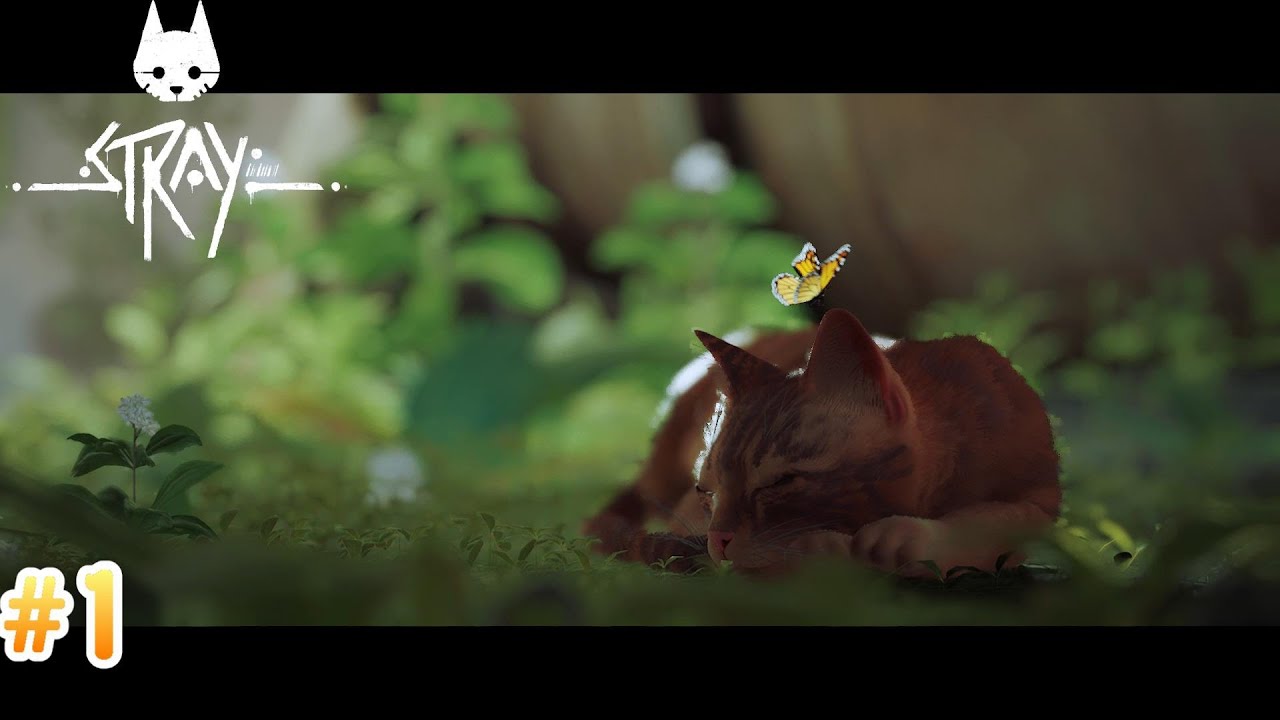 今日から猫になりました【Stray】＃1 - YouTube