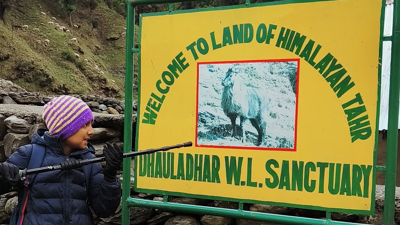 Palachak Trek File 🥾 Remotest Himalayan Village (Population: 1 Family ...