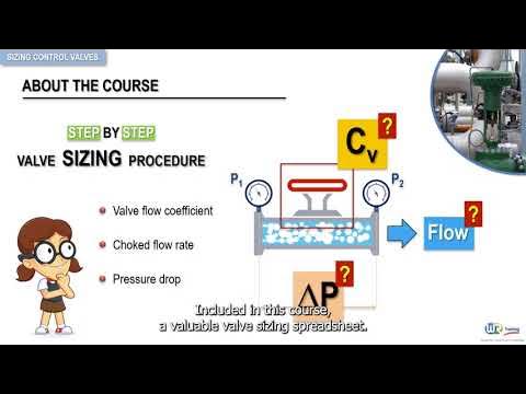 How to sizing valves and control valves ? Course introduction by WR ...