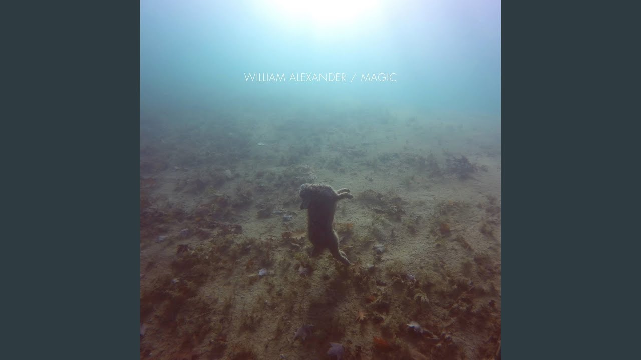 Red Light Runner - YouTube Music