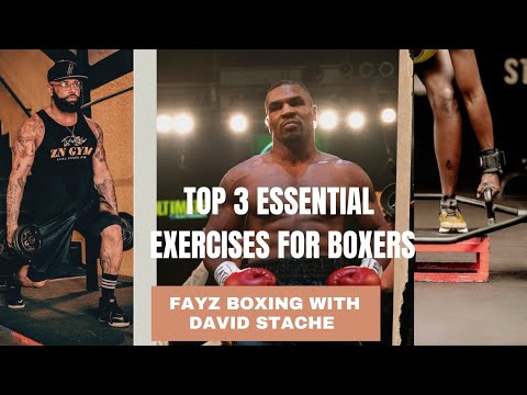 Punching Power: Master the Top 3 Exercises for Boxers ft. David Stache ...