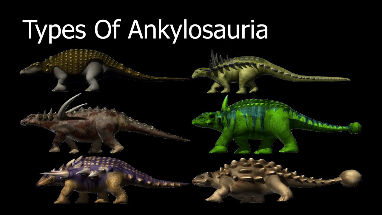 Types Of Ankylosauria - YouTube