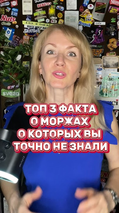 Топ 3 факта о моржах о которых вы точно не знали