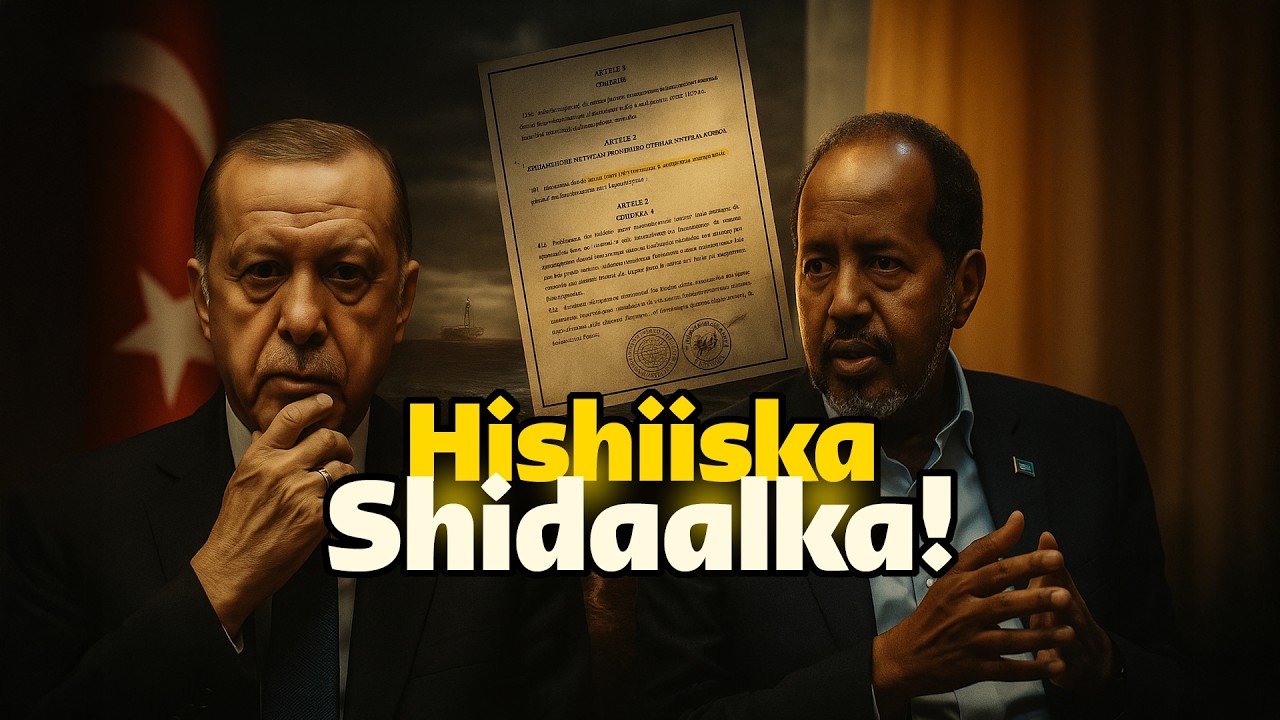 Shidaalka somaliya ee uu soo saarayo turkigu Yaa faaidada ugu badan ...