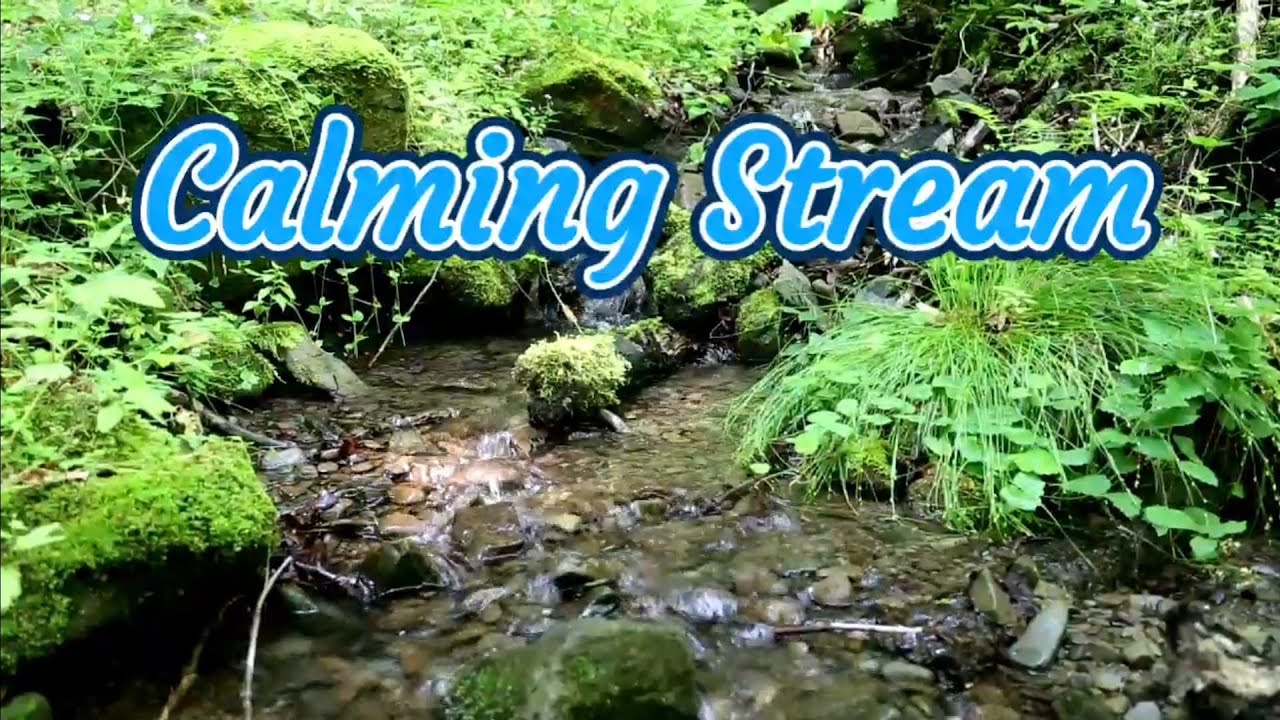 Calming Stream | Water Sounds for Relaxation | Natural Flowing White ...