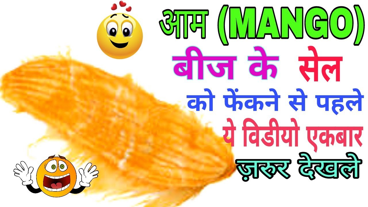 DIY HOME DECOR out of Mango Seed Shell | cool craft idea | reuse waste ...