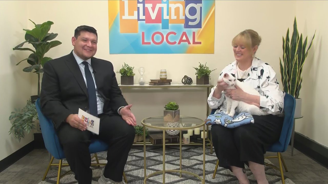 Pet of the Week - YouTube