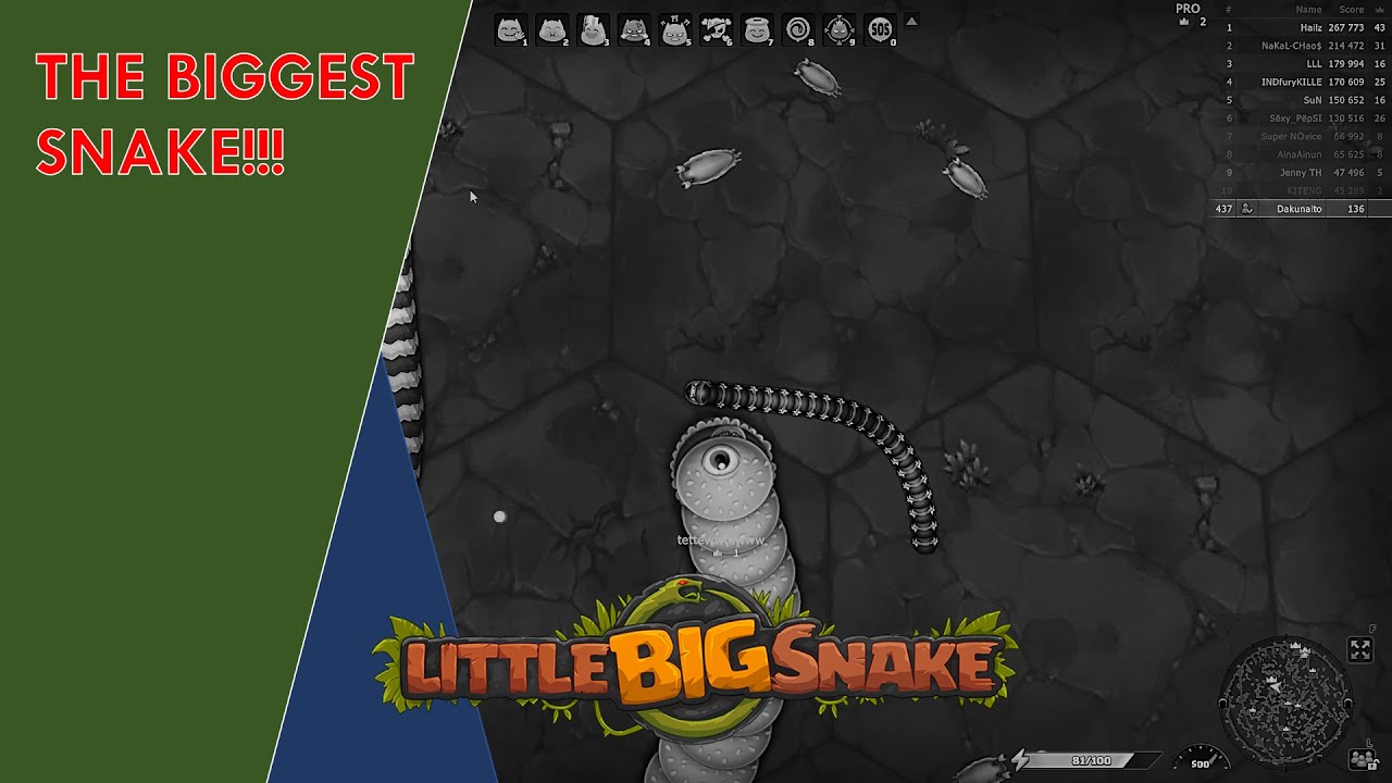 THE MOST BIGGEST SNAKE 100K++ - Little Big Snake - YouTube
