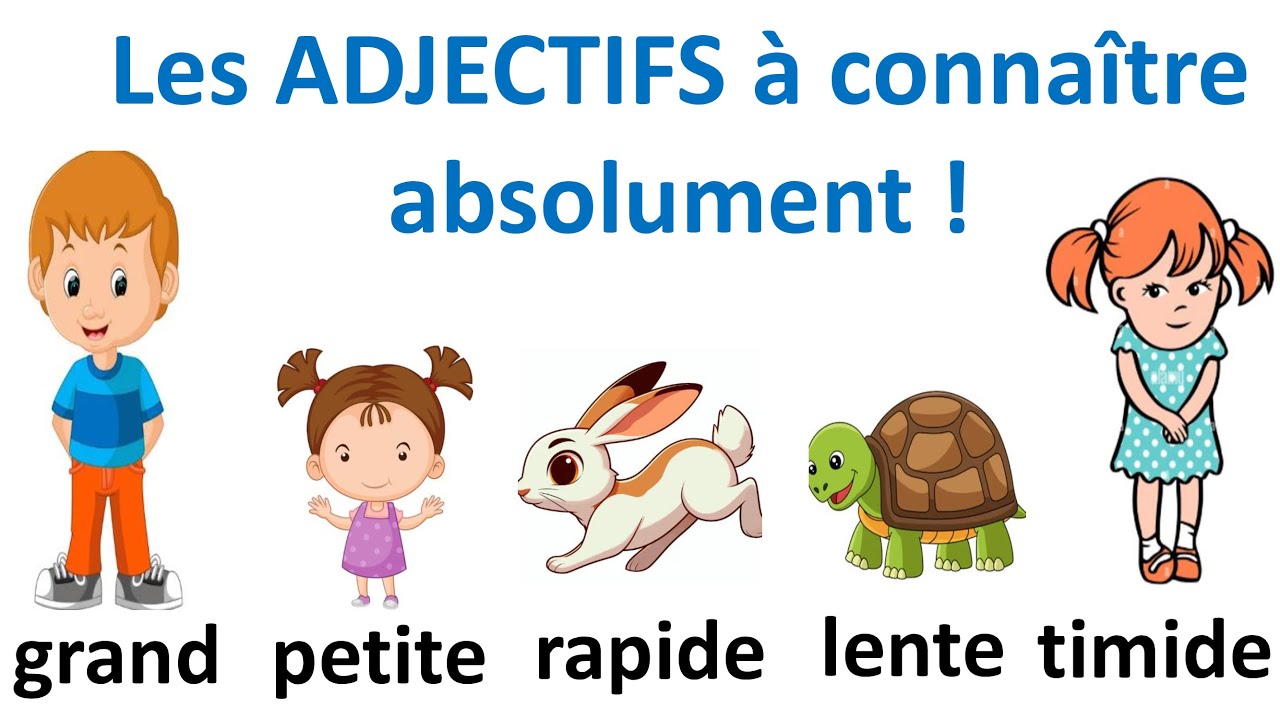 Les adjectifs les plus utilisés en français — à connaître absolument ...